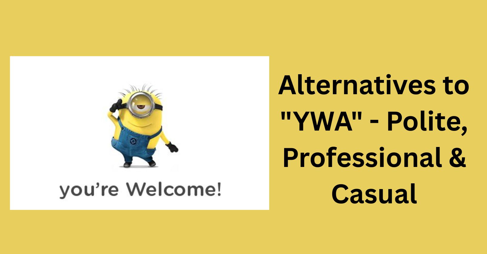 15 YWA Meaning Secrets in Text Never Misunderstand This Powerful ...