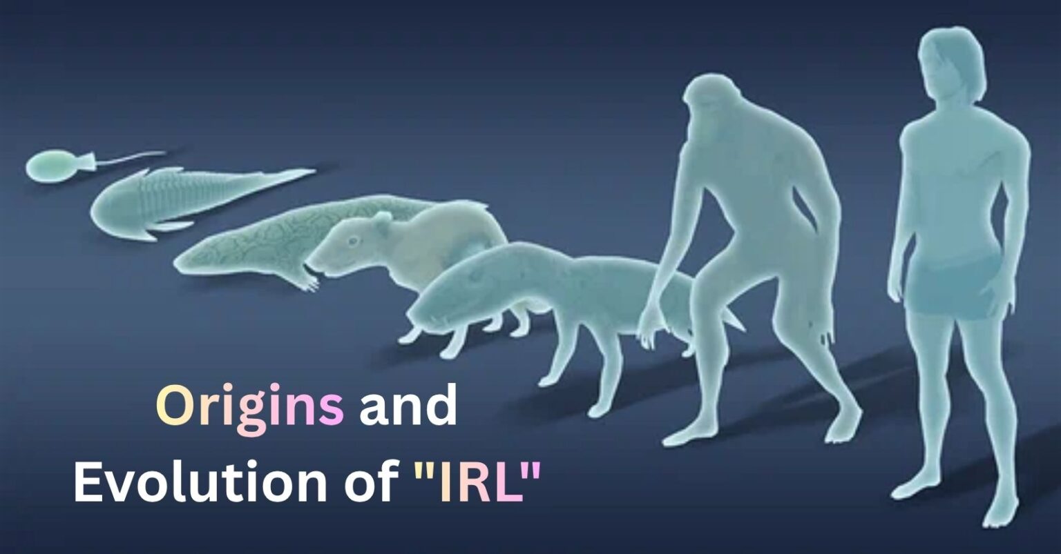 IRL Meaning in Text Real-World Examples, Proper Usage & Polite ...