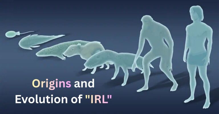 IRL Meaning in Text Real-World Examples, Proper Usage & Polite ...